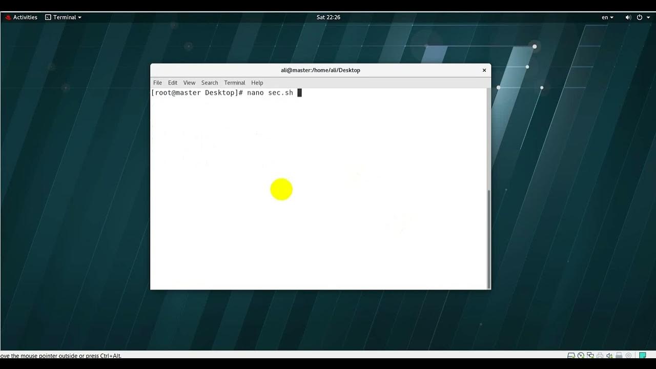 Variables And Arguments In Bash Scripting Youtube