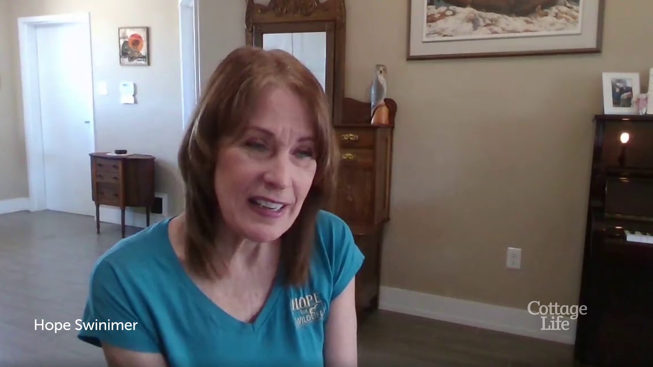 Q&A with Hope Swinimer: Encounters with Wildlife - YouTube