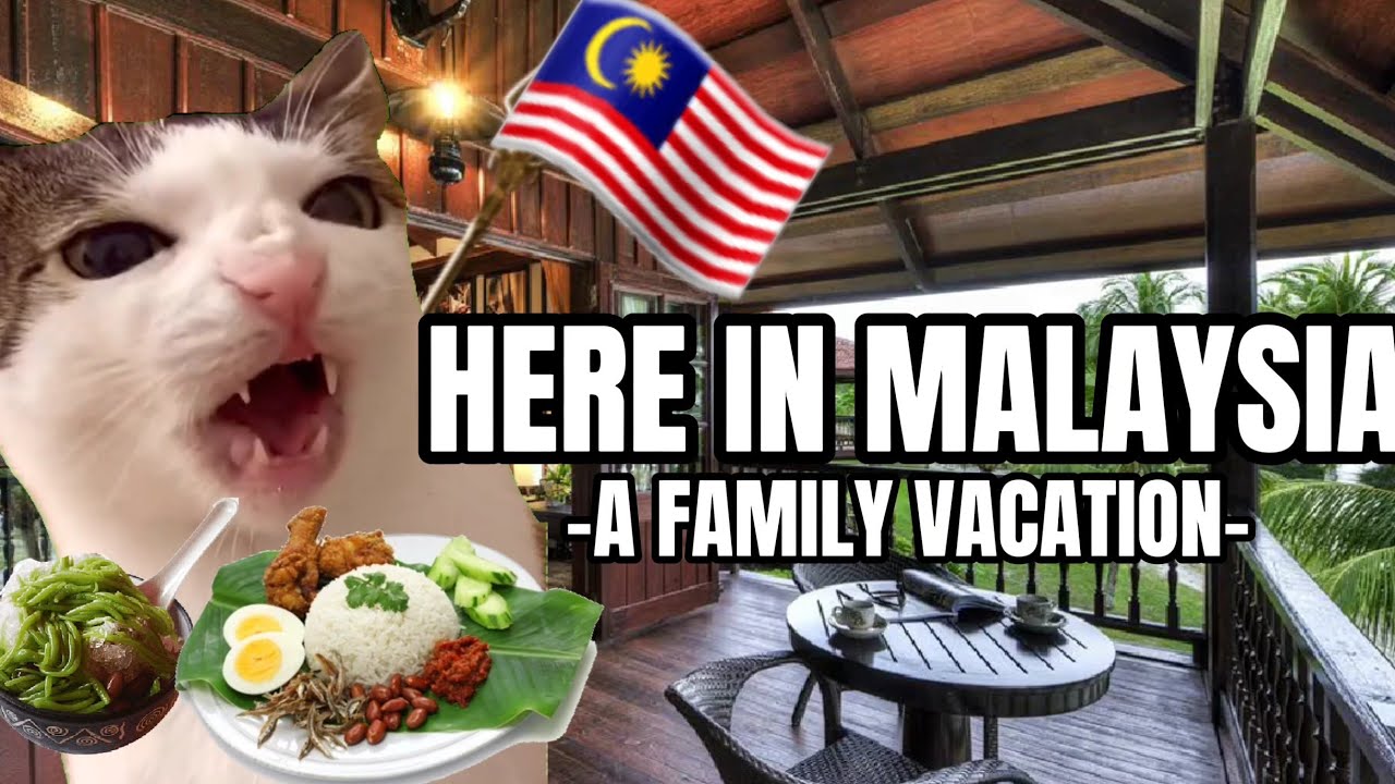 CAT MEMES: HERE IN MALAYSIA PT.3 - YouTube