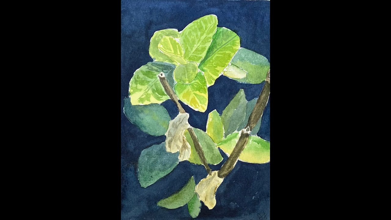 Leaves to explore new colors in watercolor - YouTube