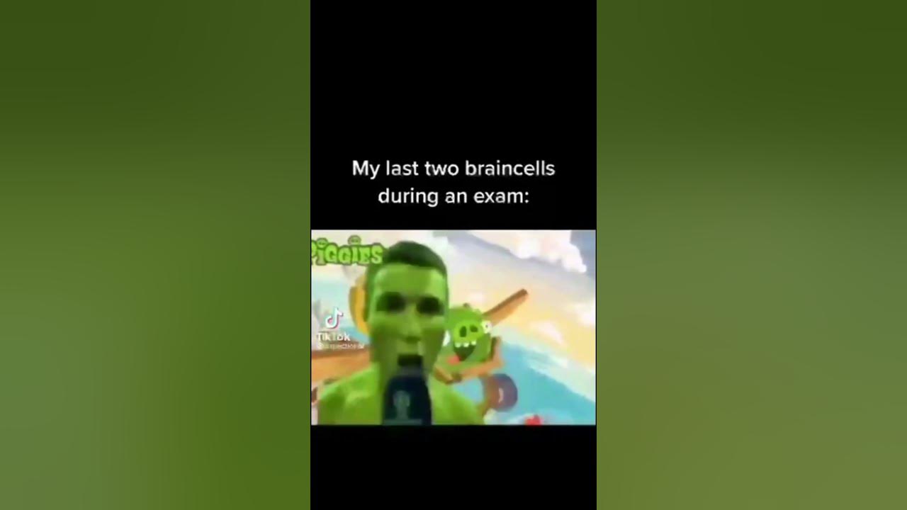 Pov: my last 2 brain cells during a exam - YouTube
