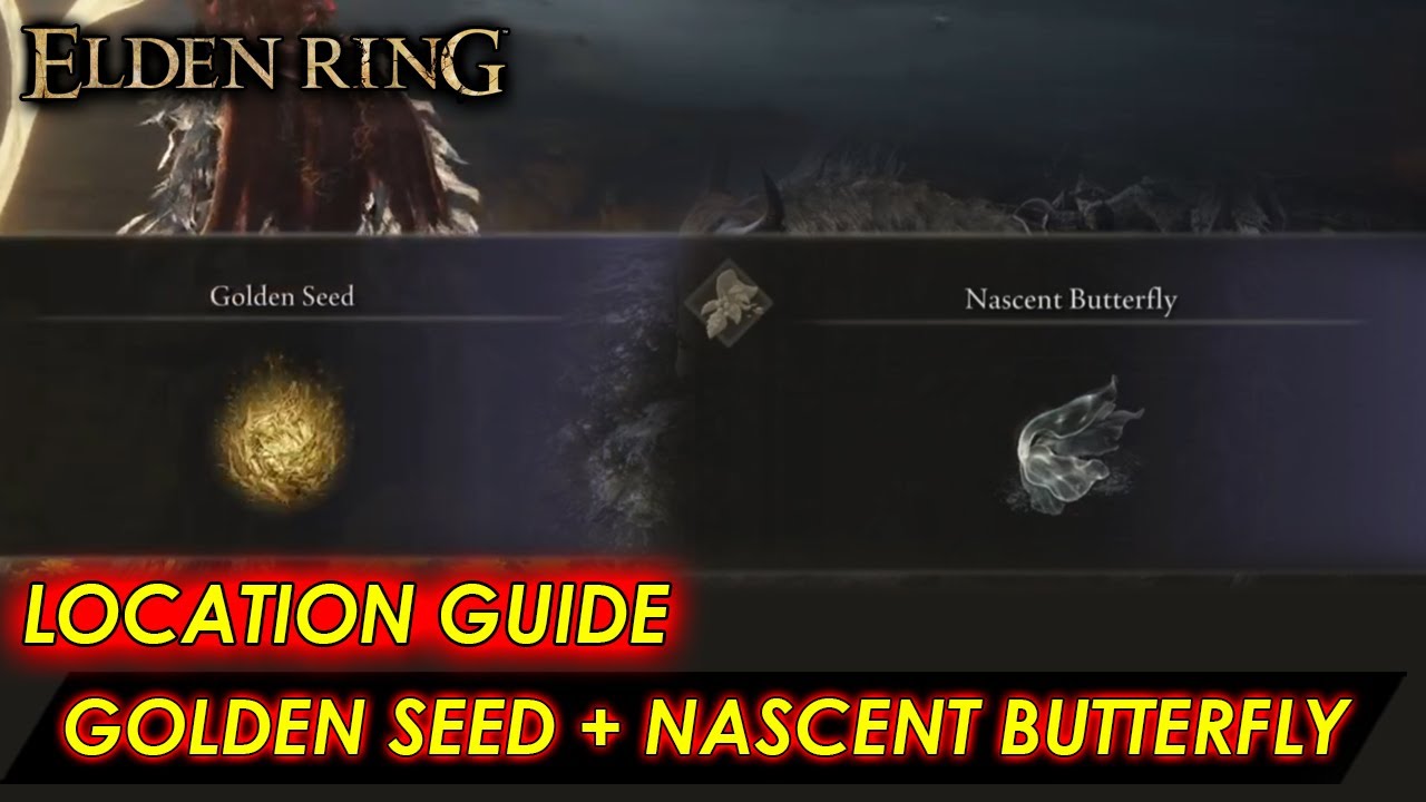 Elden Ring - Golden Seed & Nascent Butterfly Location Guide شرح - YouTube