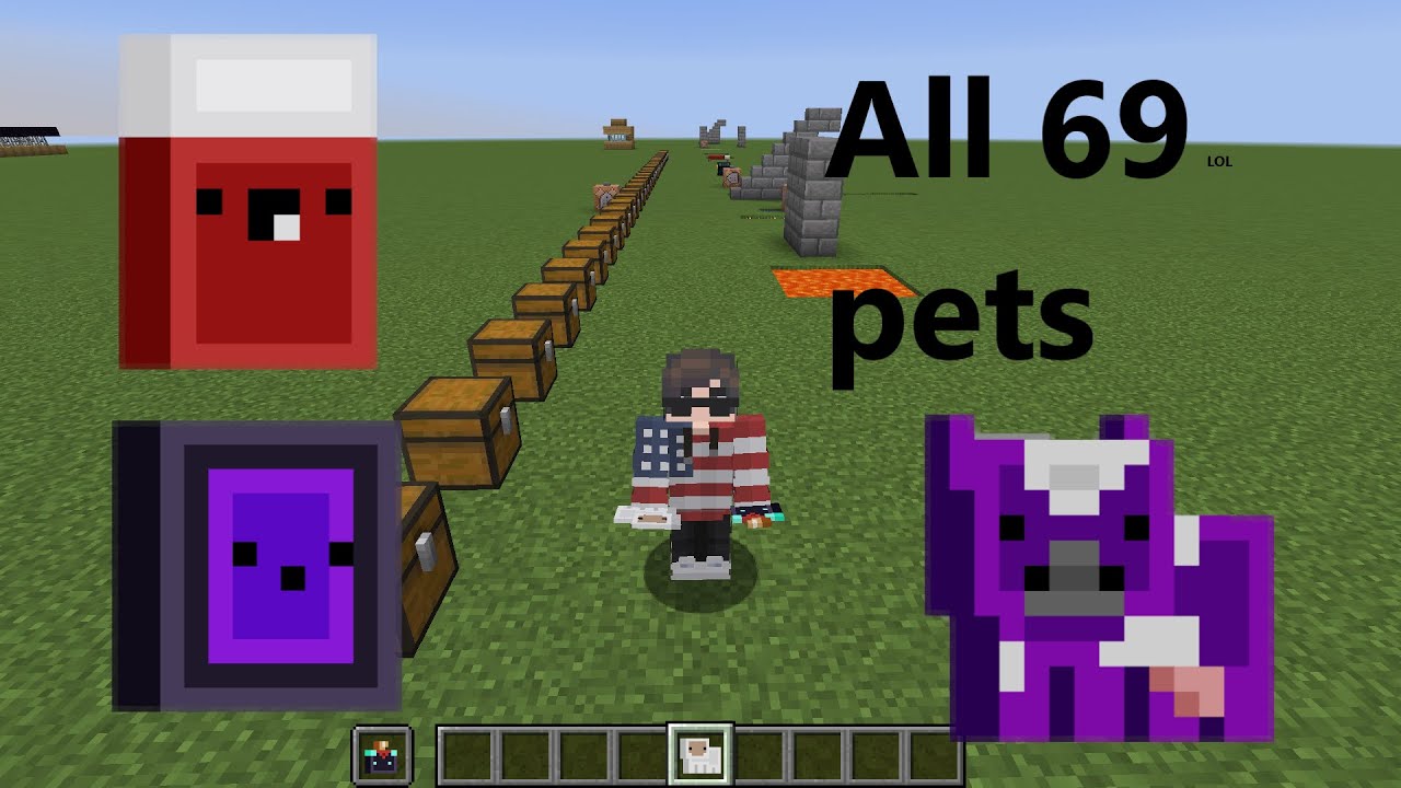 Looking at EVERY inventory pet in the inventory pets mod - YouTube