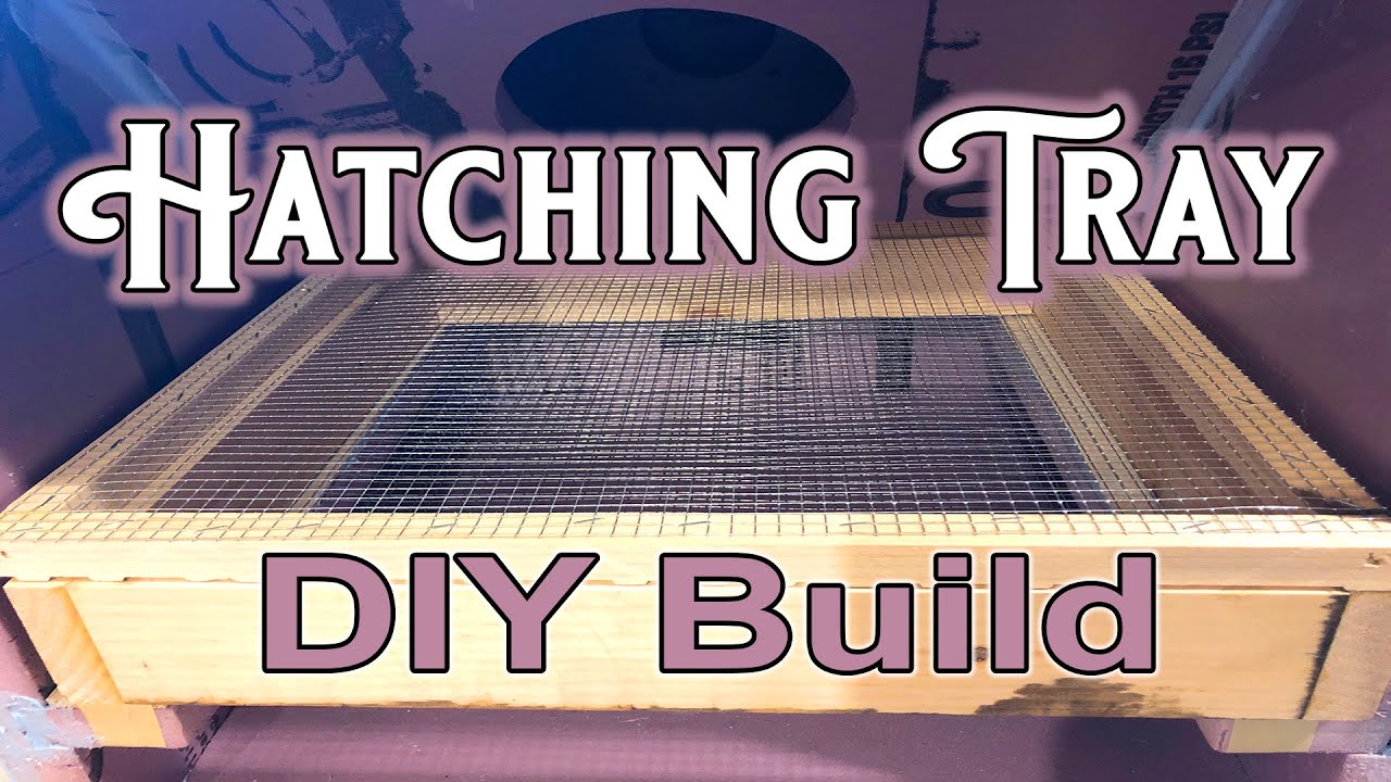 Hatching Tray - DIY Build - YouTube