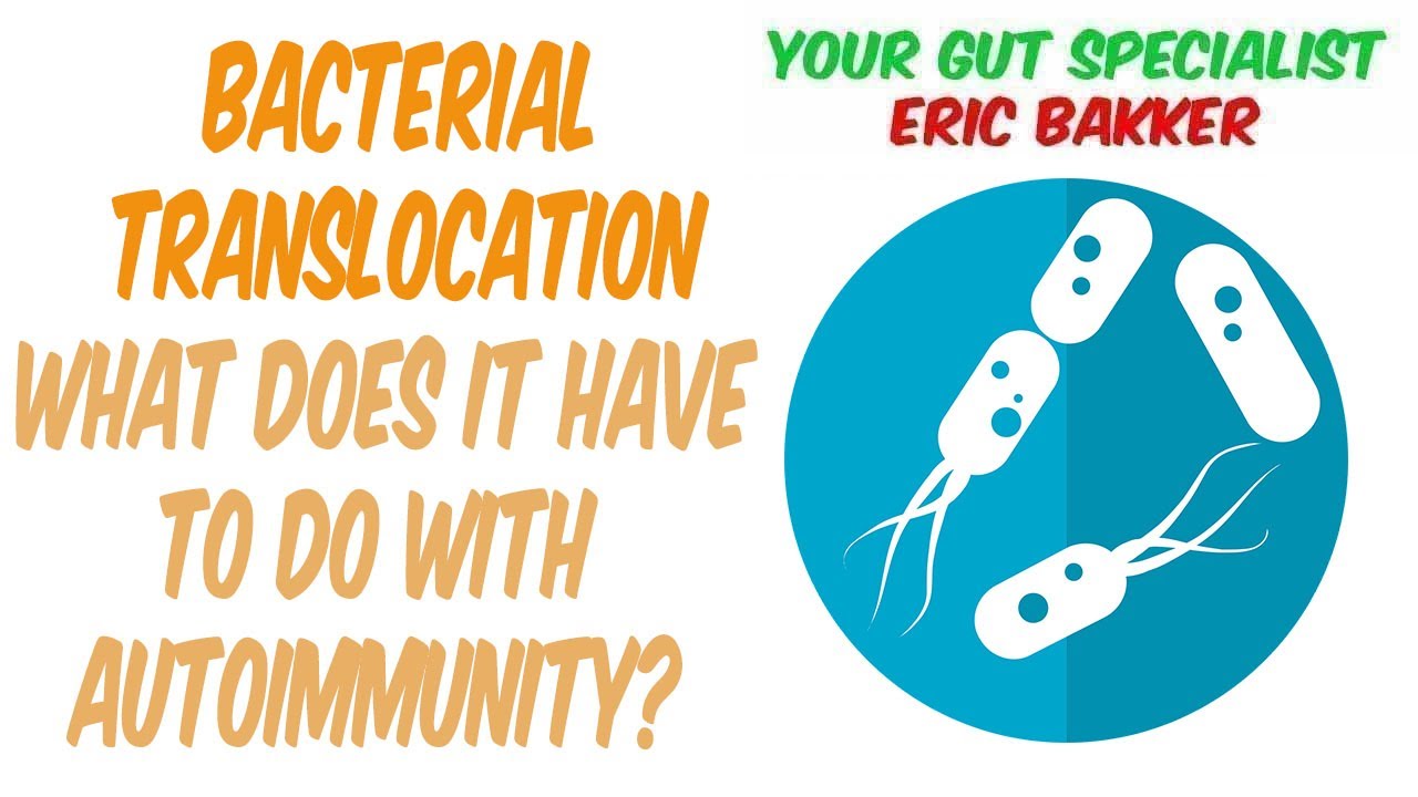 What Is Bacterial Translocation and What Does It Have To Do With ...