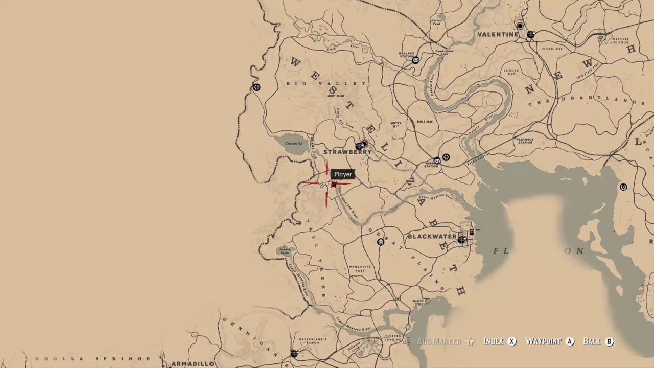 RDR2 THE PERFECT BLUE JAY (XBOX1-X) - YouTube