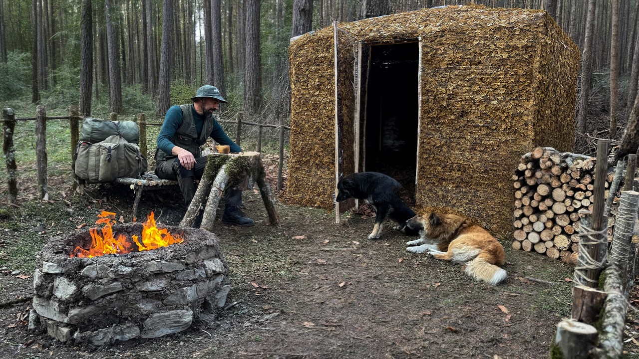 Building a Warm Leaf Shelter | Secret Primitive Bushcraft in the Autumn ...