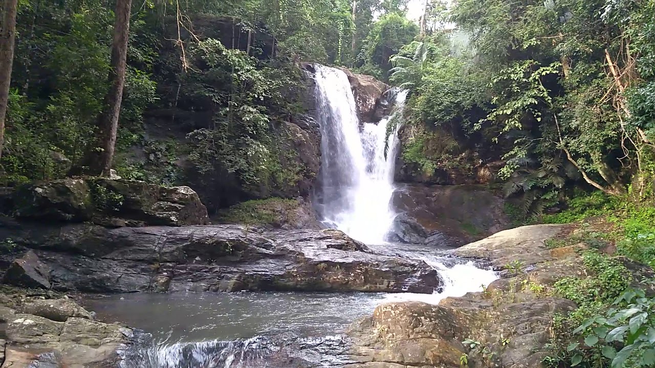 MANGAYAM WATER FALLS PALODE TRIVANDRUM - YouTube