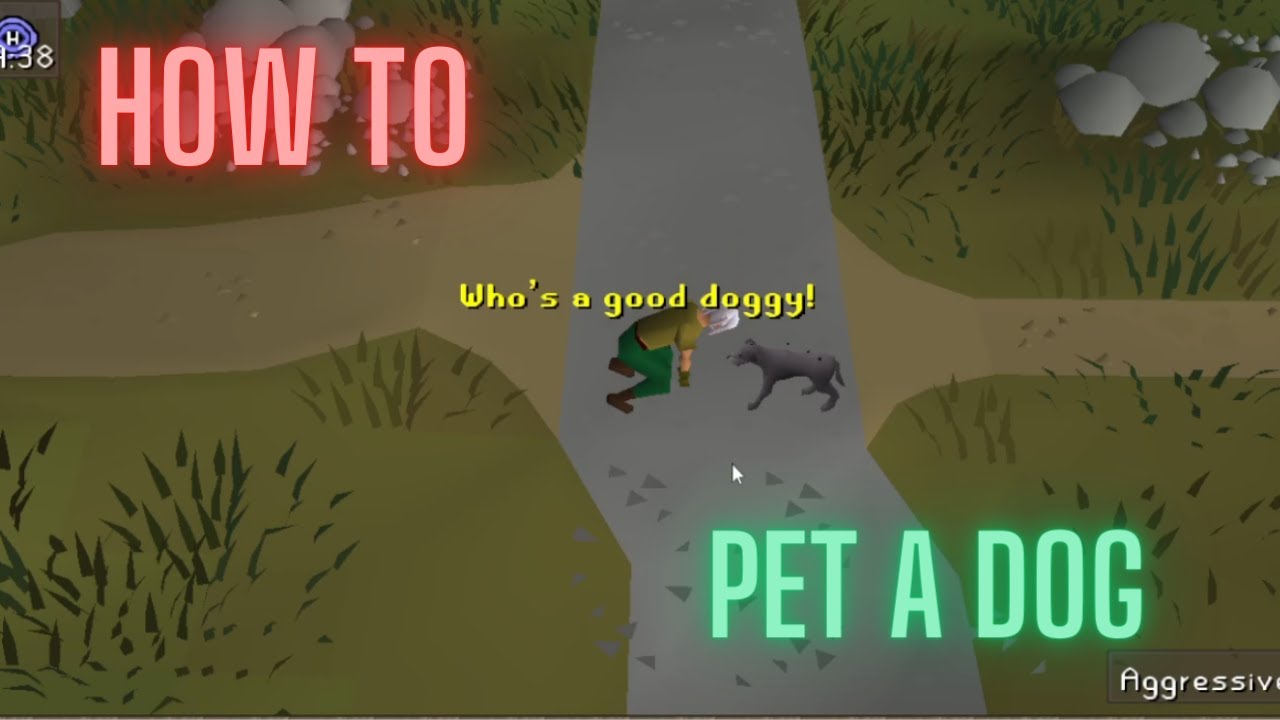 OSRS How to pet a dog - YouTube