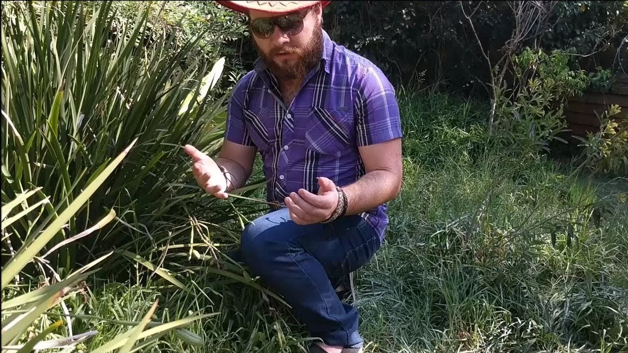 The Gay Song BLOOPERS YouTube the-gay-song-bloopers-youtube