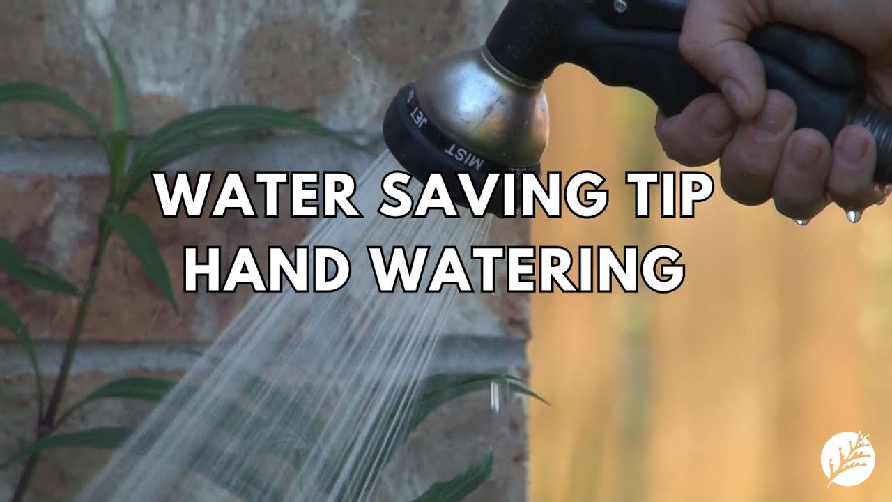 Water Saving Tip: Hand Watering - YouTube