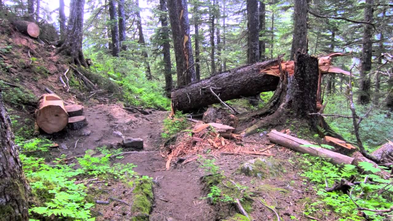 ALASKAN CRUISE VACATION: HIKING THE MOUNT ROBERTS TRAIL IN JUNEAU ...
