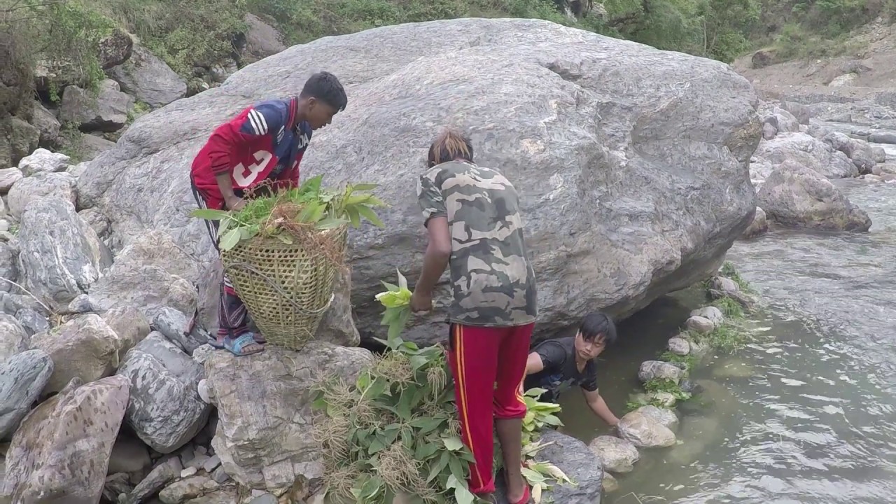 HIMALAYAN TROUT FISHING IN SMALL RIVER OF NEPAL | METHODS OF CATCHING ...