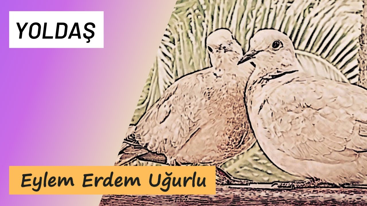 Eylem Erdem Uğurlu - Yoldaş (Lyric Video) - YouTube