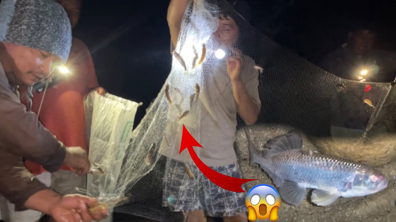Local Fish Hunting🐟 At Day & Night🤗 - YouTube