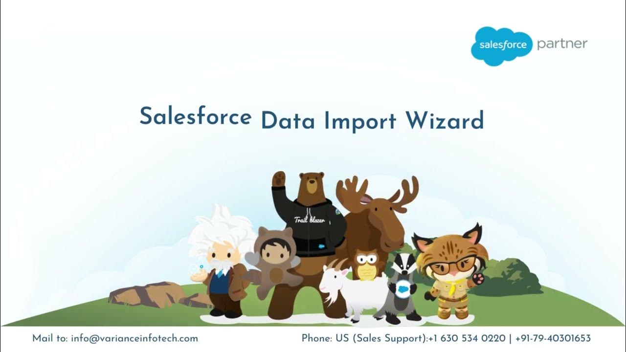 Salesforce Data Import Wizard - YouTube