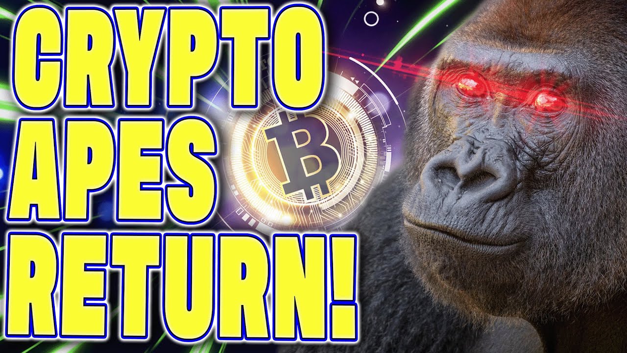 Apes Return to Crypto! Bitcoin is EXPLODING! - YouTube