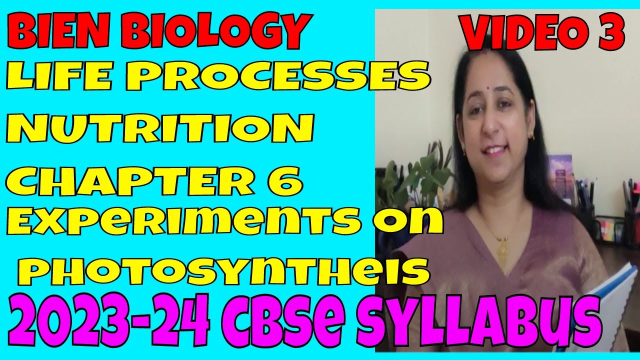 LIFE PROCESSES || Chapter6 || Photosynthesis Experiments || Destarching ...