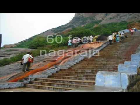 Tiruchengode abode of Lord Ardhanareeswara - YouTube
