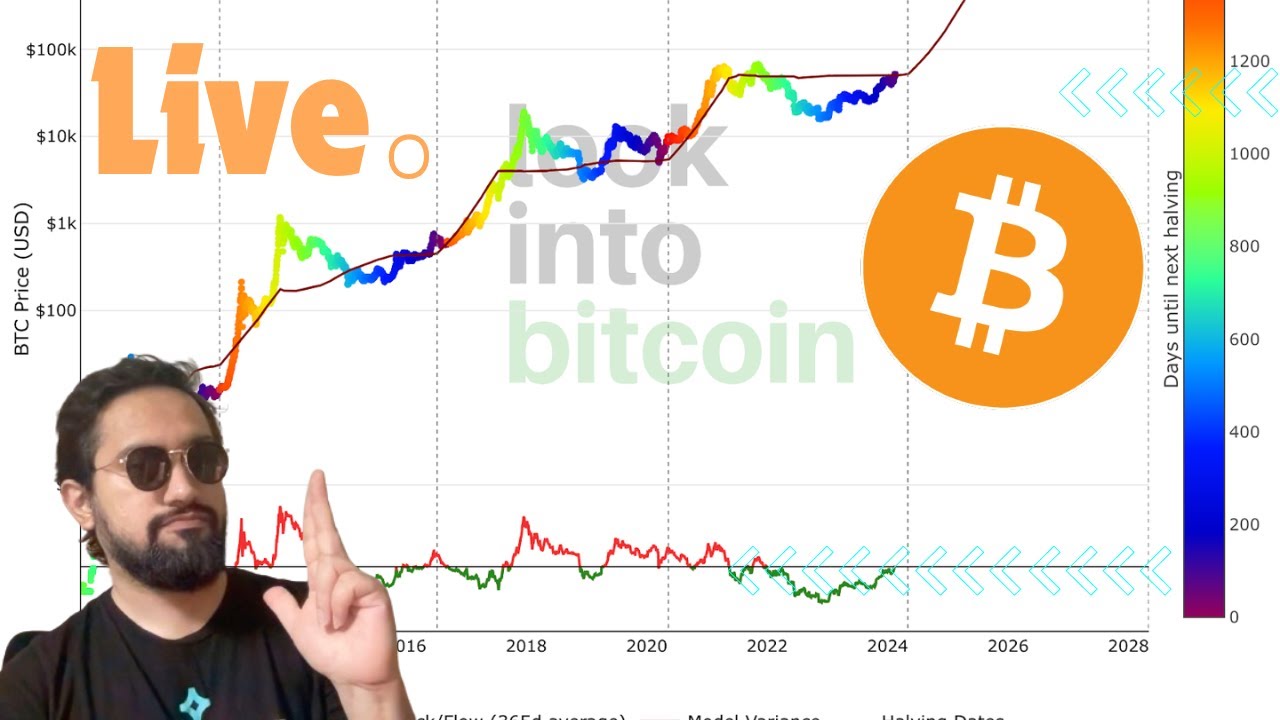 Bitcoin S2F Model Analysis | BTC Price at 450k | When? - YouTube