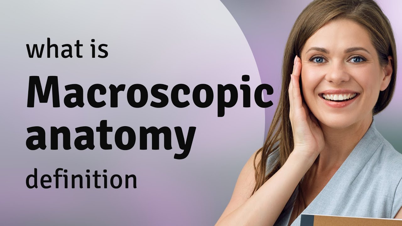 Macroscopic anatomy — meaning of MACROSCOPIC ANATOMY - YouTube