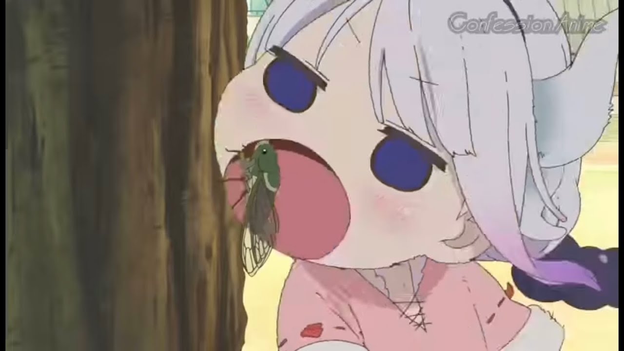 kanna eats a cicada (perfectly cut anime moment) - YouTube
