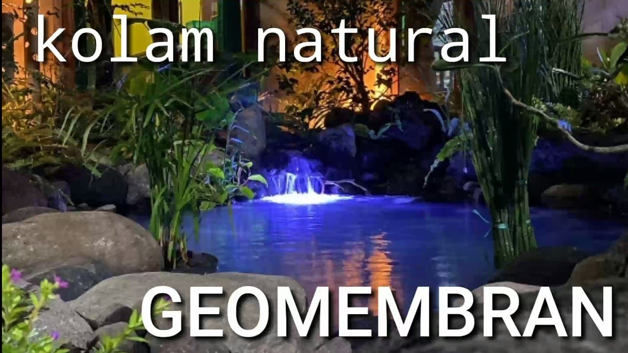 cara membuat kolam koi || kolam natural @ParanManingChannel - YouTube