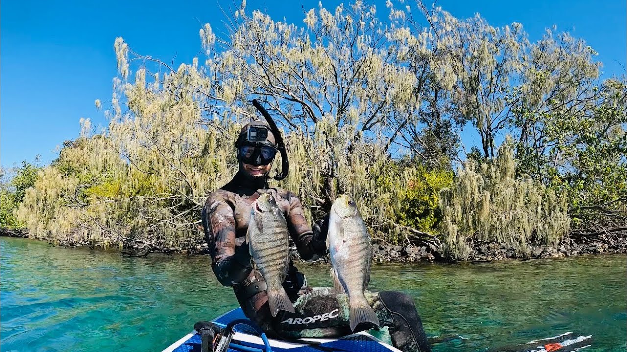 Paddle Board Spearfishing The Shallows | CATCH, CLEAN, COOK - YouTube