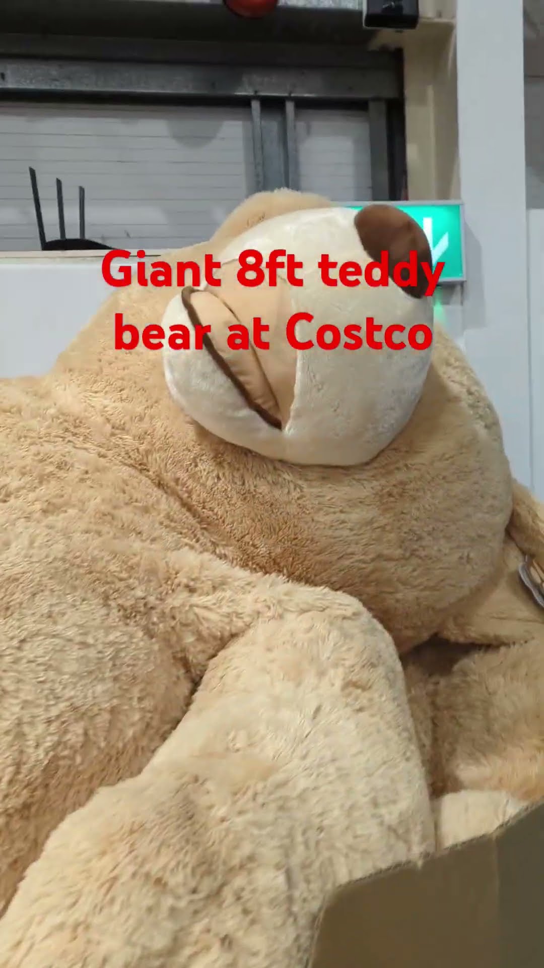 Giant 8ft teddy bear store