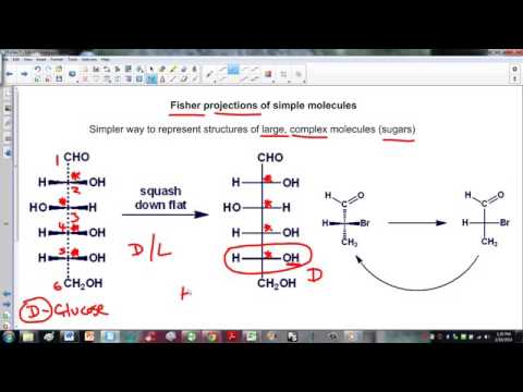 drawing simple fisher projections - YouTube