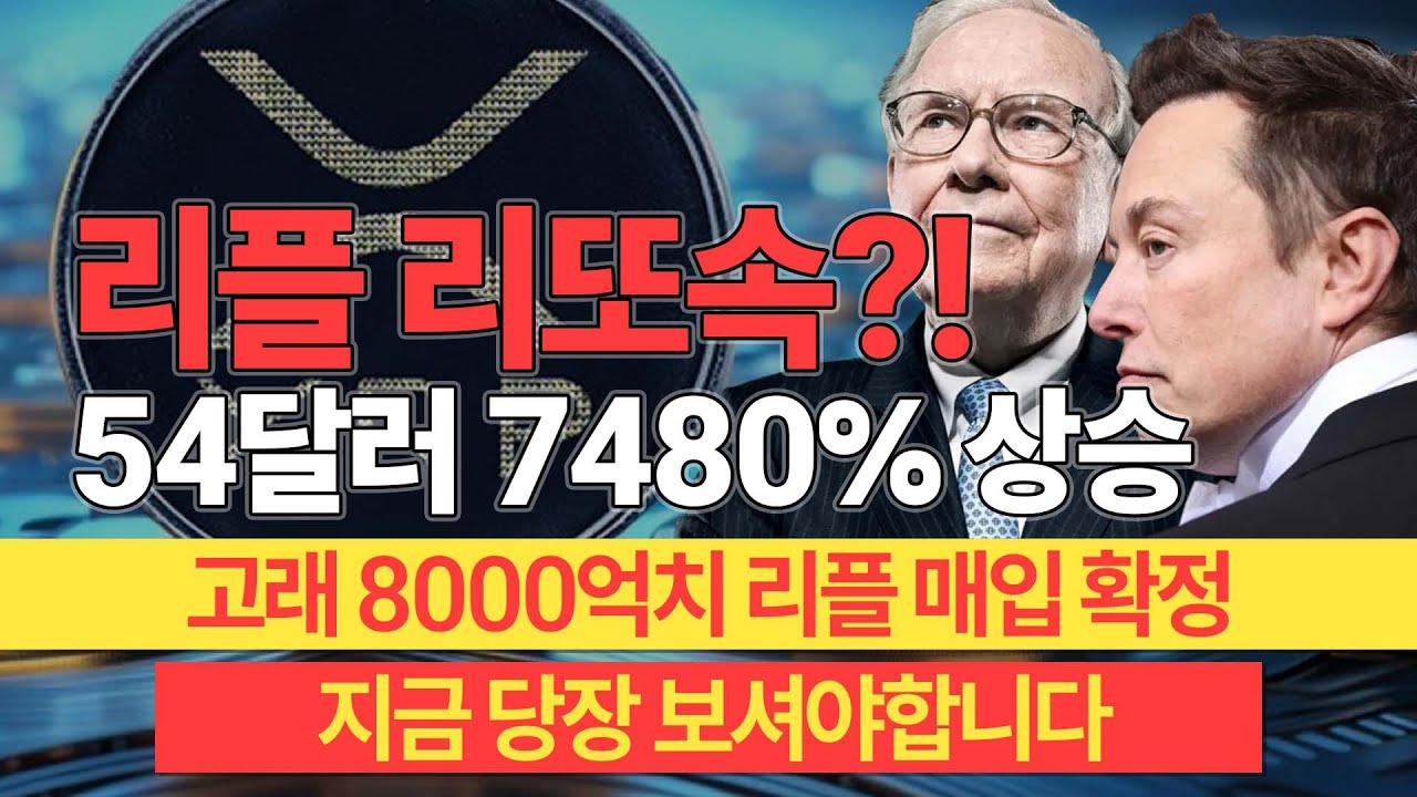 리플 긴급 고래 활동 파악 시장의 파동 이유 엄청난 물량이 움직인다 리플 리플코인 리플전망 리플가격