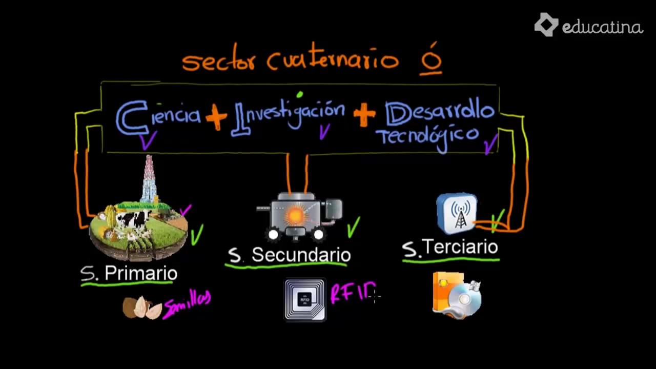 Sector Cuaternario de la Economía.mp4 - YouTube
