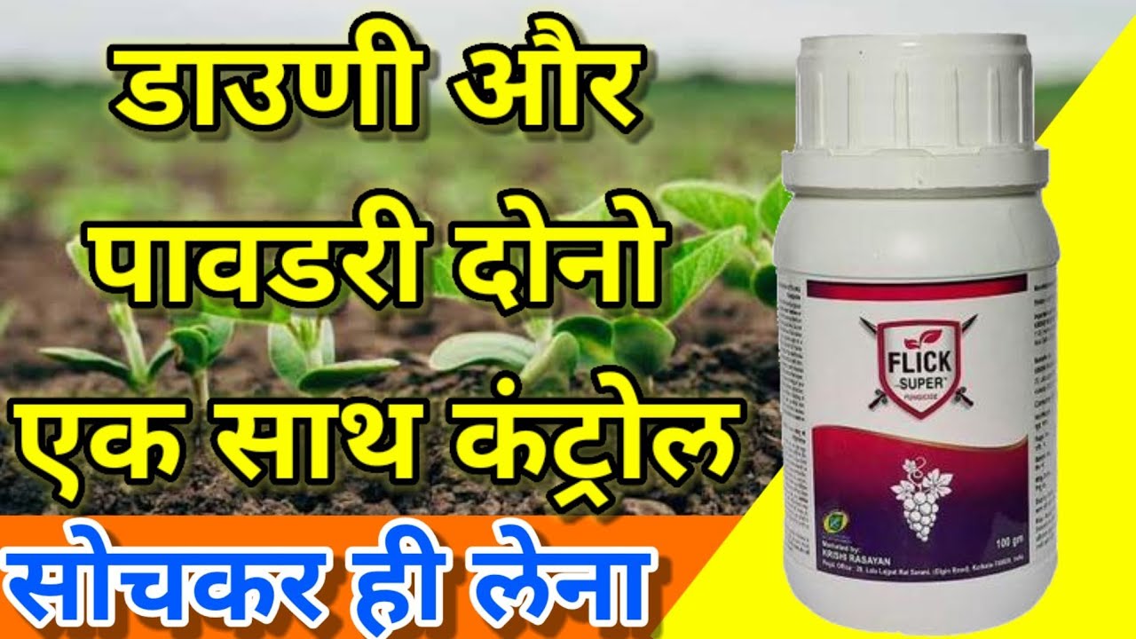 flick super fungicide/flick super/dimethomorph+pyraclostrobin - YouTube