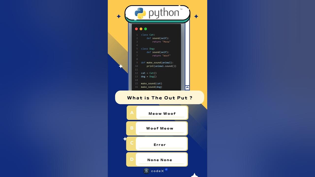 Python Polymorphism Explained: Can You Solve This?🐍#codechallenge - YouTube