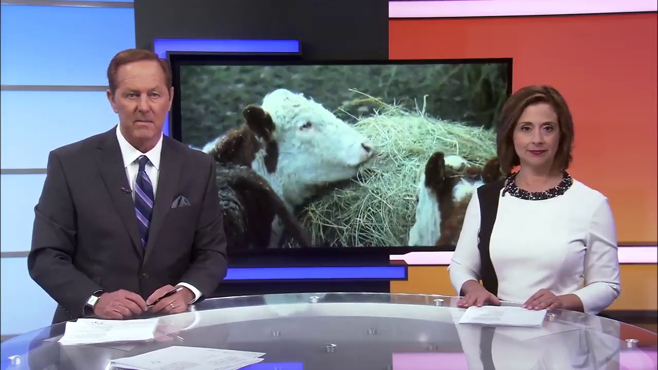 LEX 18 News At 6: February 18, 2019 - YouTube