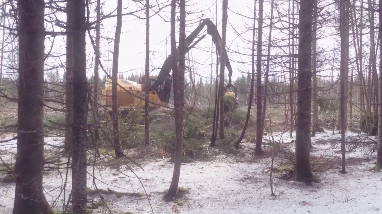 Tigercat H855C with Ponsse H7HD Harvesting Head - YouTube