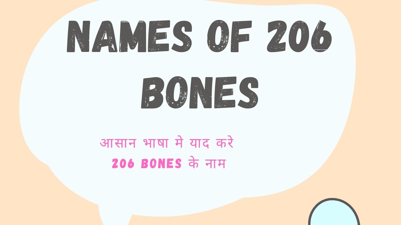 206 Bones Name bones Of Skeleton skeleton medical nursing bones 206-bones-name-bones-of-skeleton-skeleton-medical-nursing-bones