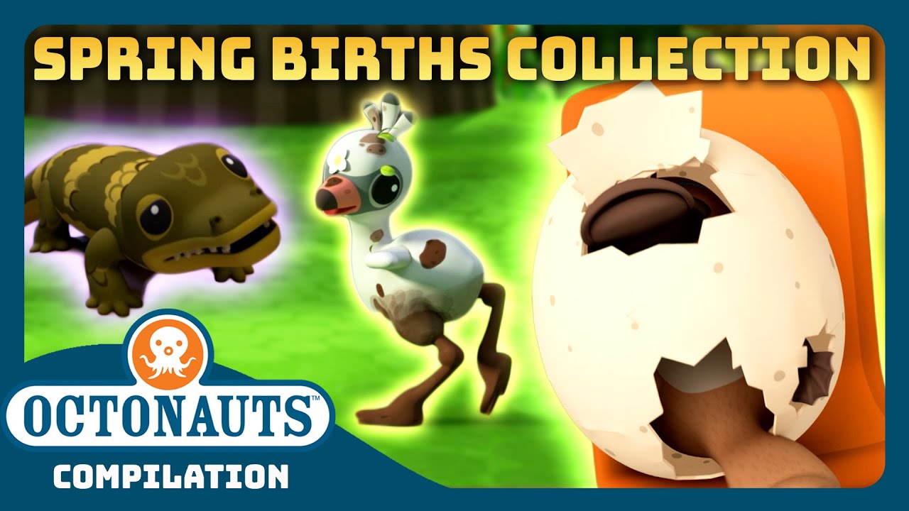 @Octonauts - 🌼 MEGA Spring Births Collection 🐣 | 3 Hours+ Easter ...