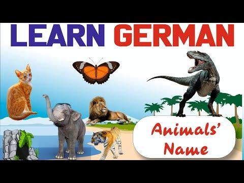 Animals' Name in german। Die tiere auf Deutsch। Learn german। easy ...