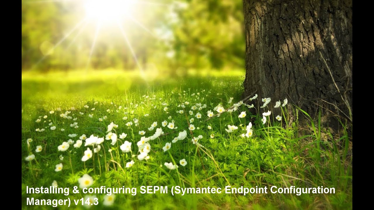 Installing & Configuring SEPM (Symantec Endpoint Protection Manager ...