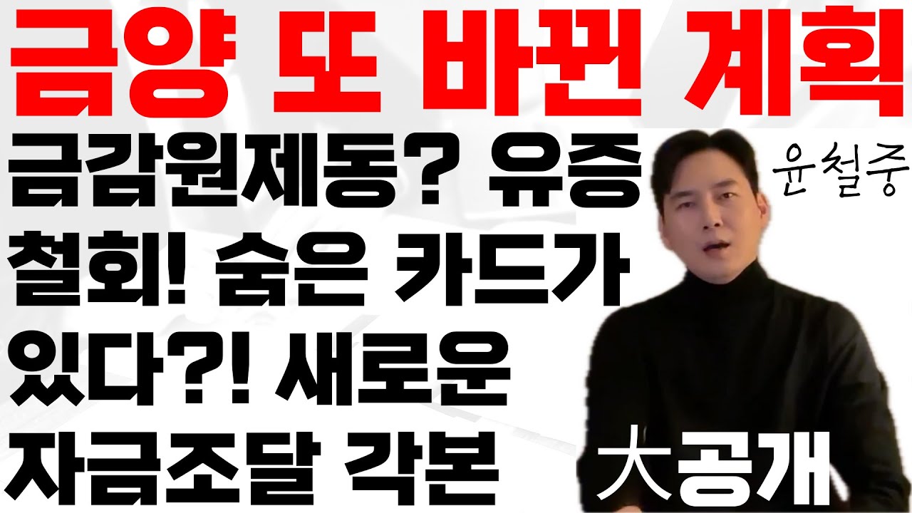 금양 유증 철회로 운명 바뀌나 유증 철회 후 어떤 길을 택할까 기타 자금조달 유증 철회 속내 파헤치기 향후 시나리오 주가