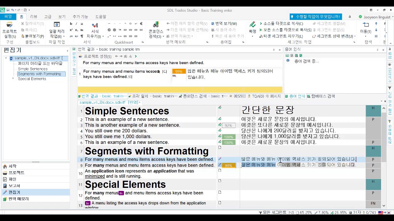 [번역툴 사용하기] 초보 번역가를 위한 SDL Trados Studio 사용 방법 - 프로젝트 생성하기 - YouTube