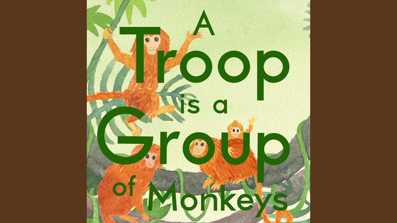 A Troop Is a Group of Monkeys - YouTube