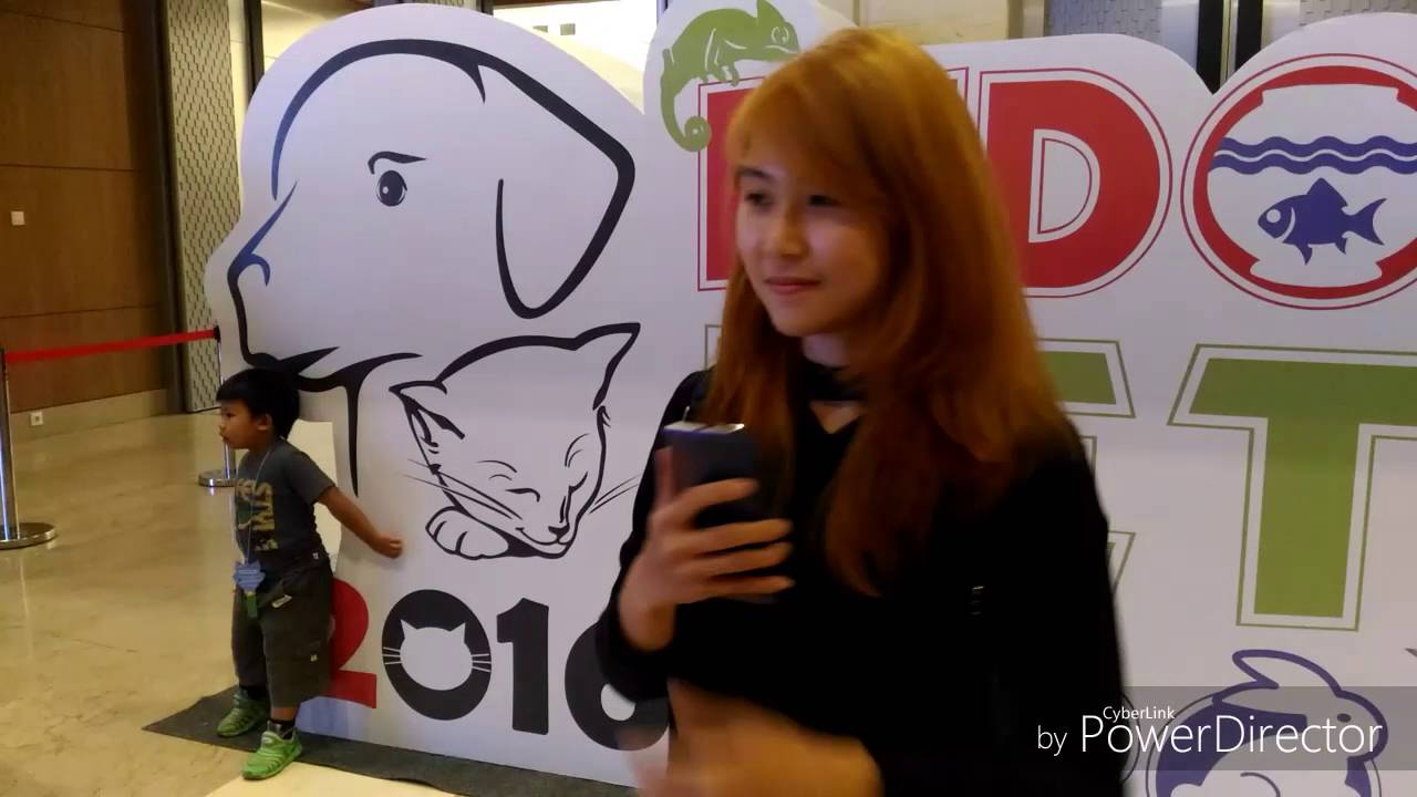 Indo Pet Expo - YouTube