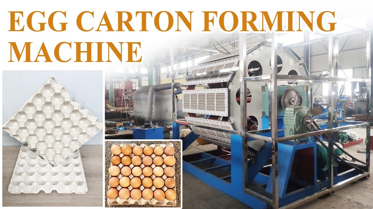 How Egg Carton Making Machines Work: A Complete Guide! #egg #eggtray # ...
