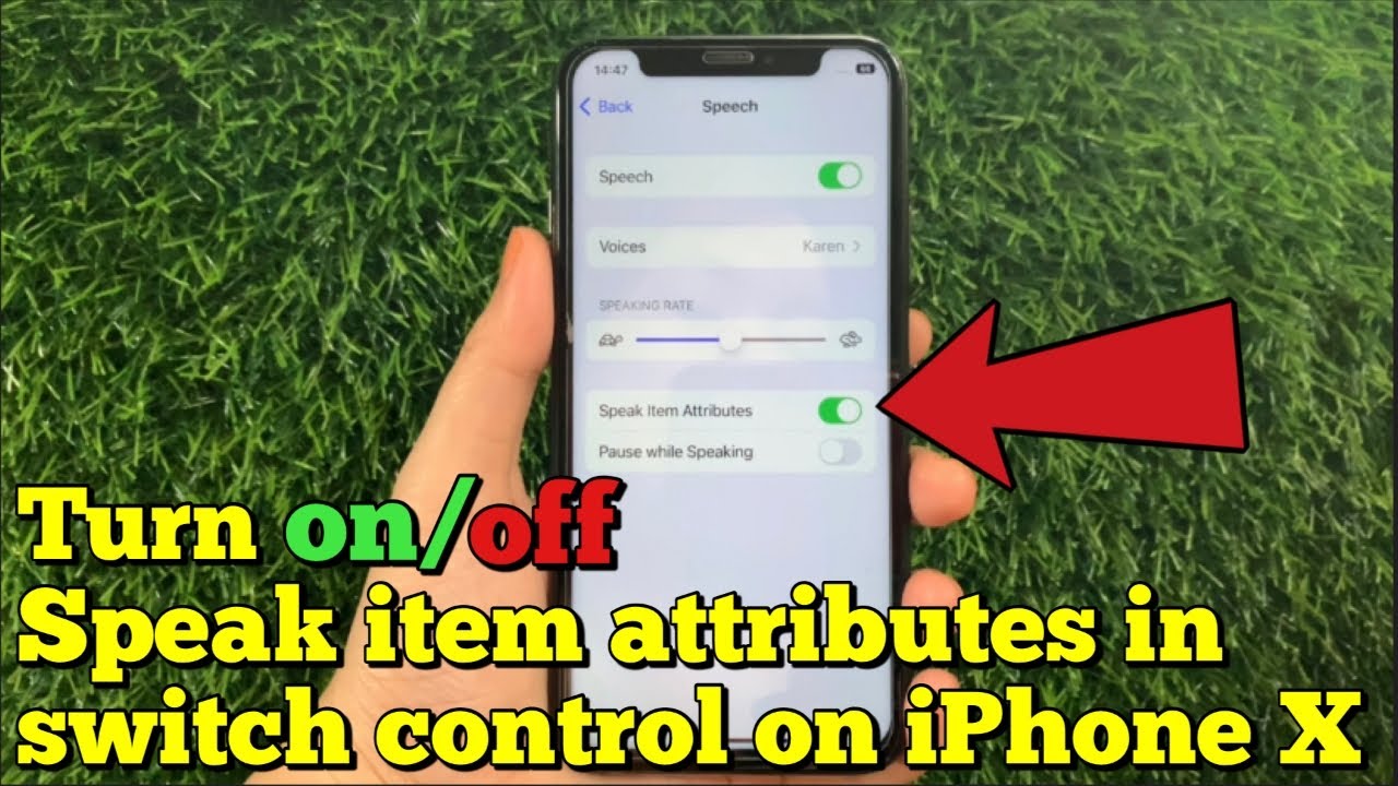 How to turn on or off speak item attributes in switch control on iPhone ...