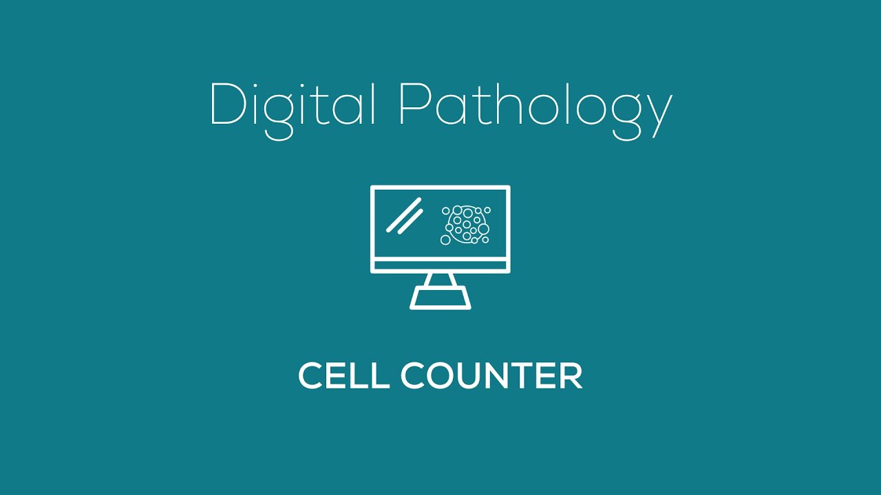 Digital Pathology - CELL COUNTER - YouTube