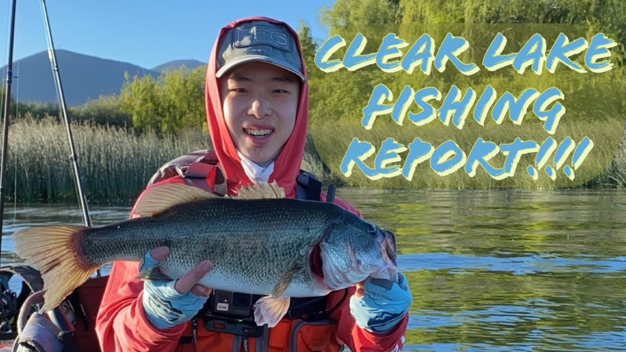 CLEAR LAKE, CA Fishing REPORT (June 5, 2021) - YouTube