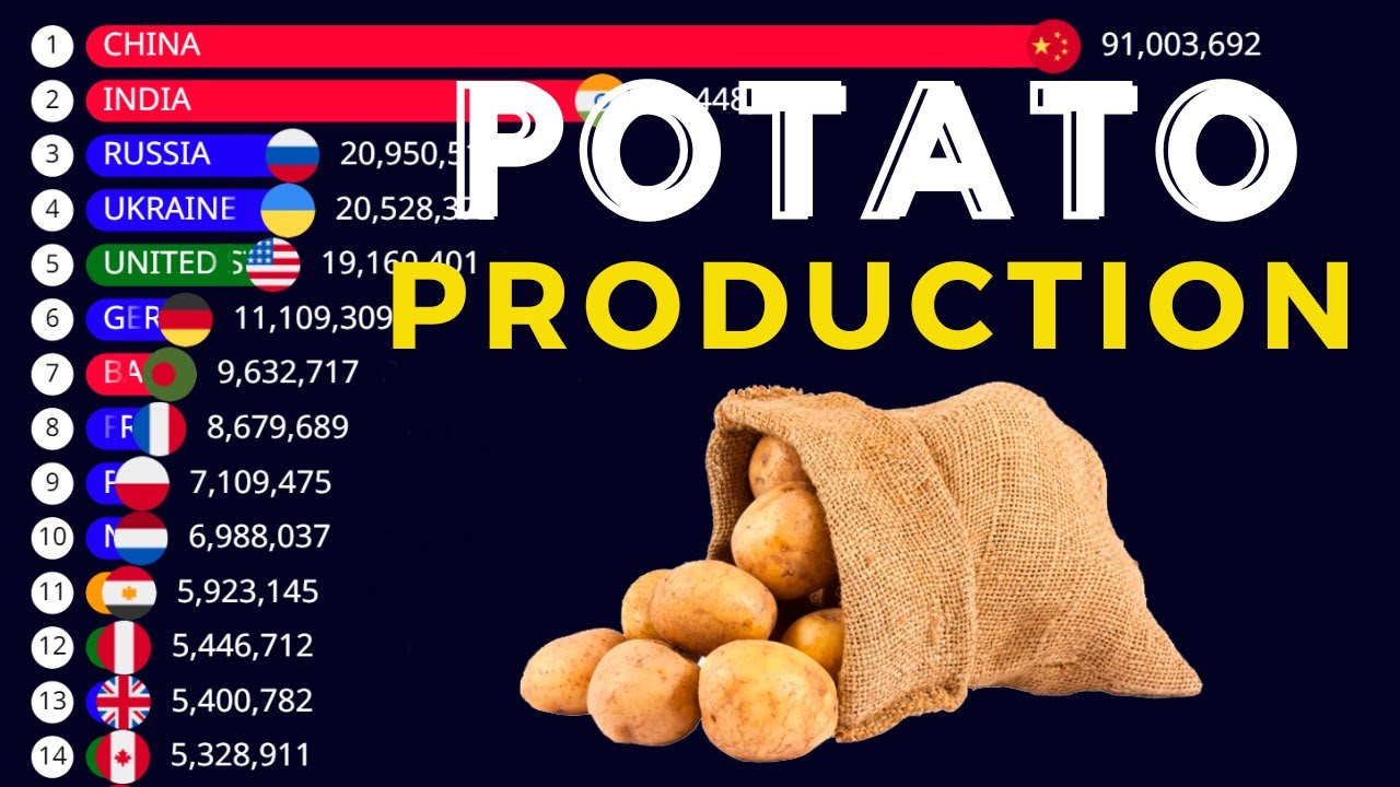 THE LARGEST POTATO PRODUCERS IN THE WORLD - YouTube