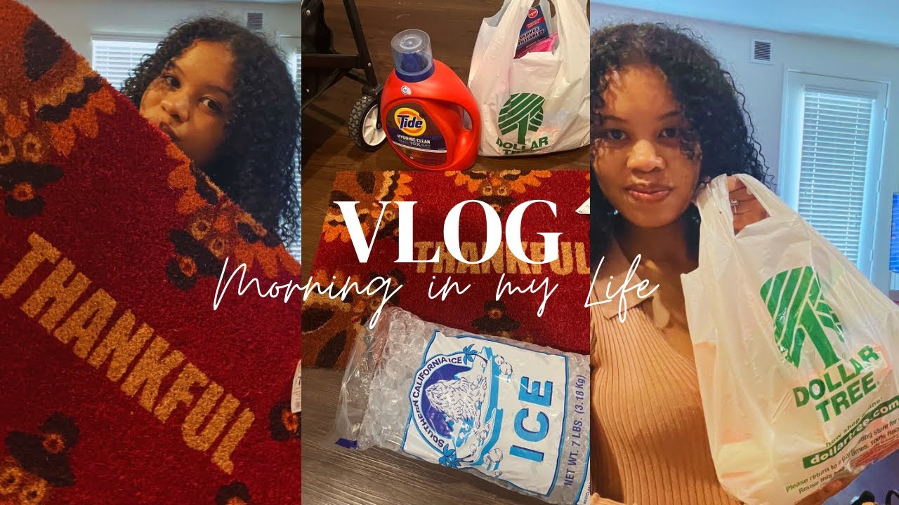 Vlog: Morning in my Life, Dollar Tree & Grocery Outlet Finds| Isabelle ...